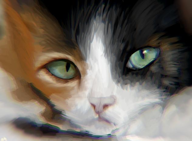 calico - ibisPaint