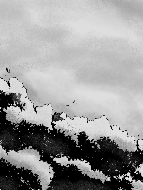 trees with sky - ibisPaint