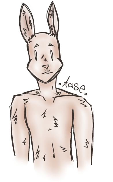 aase the rabbit - ibisPaint