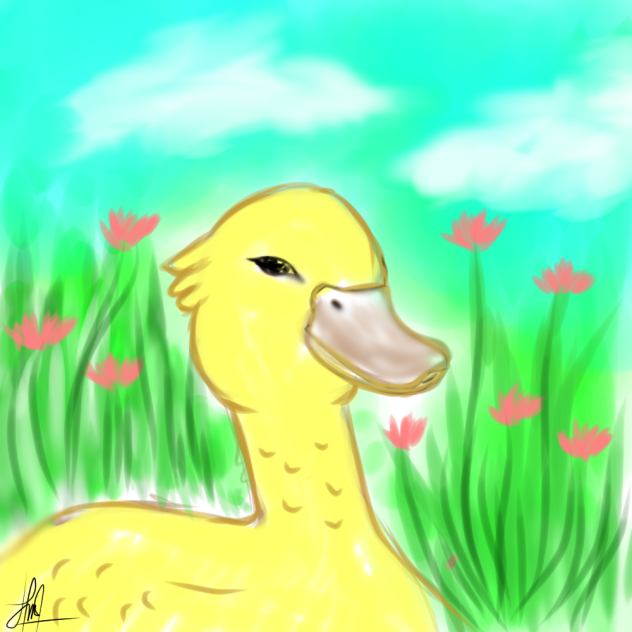 The Duck - ibisPaint