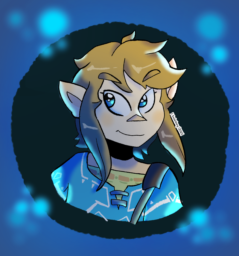 Link Botw drawling - ibisPaint