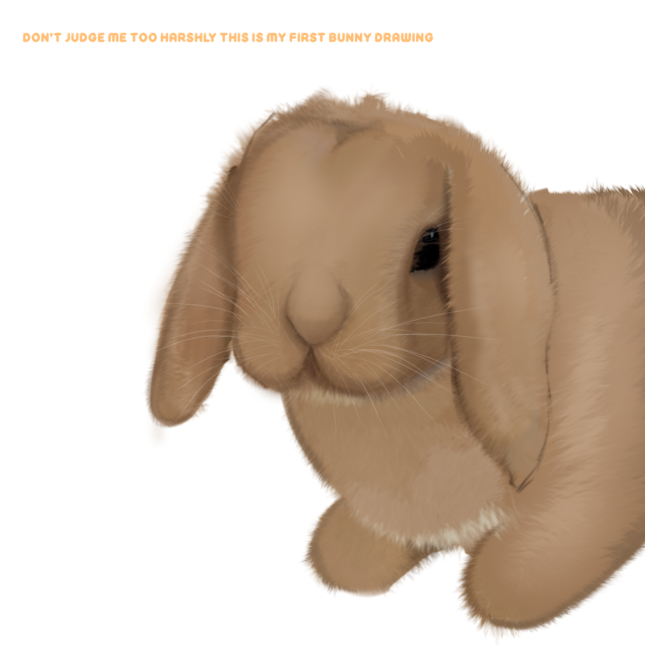 goofy bunny - ibisPaint