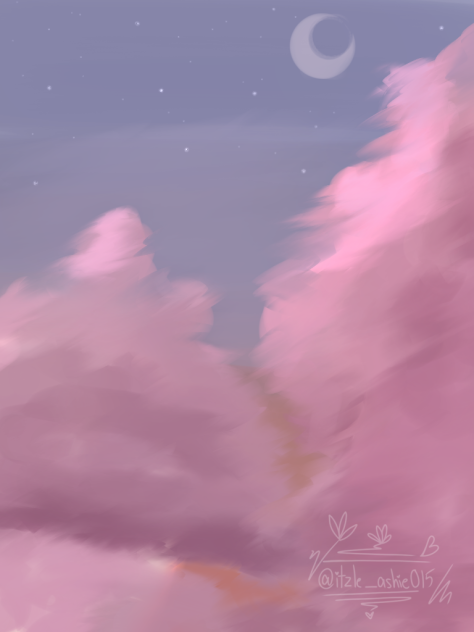 racoon clouds - ibisPaint