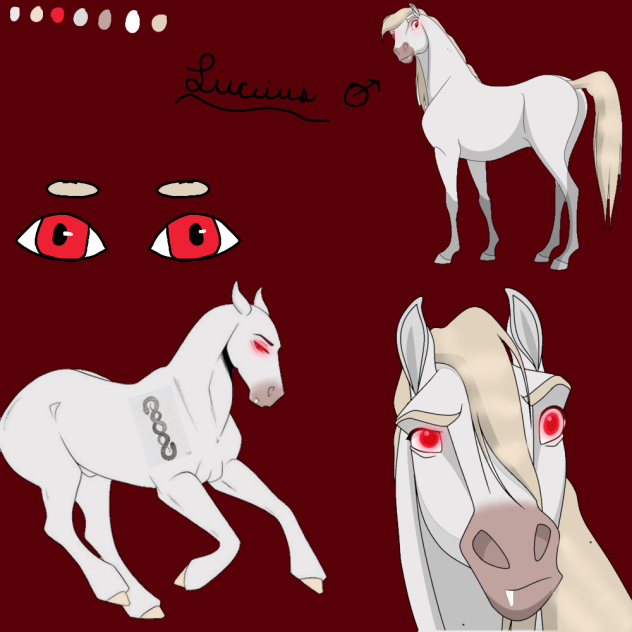 Lucius - Reference Sheet - ibisPaint