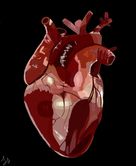 heart (real.) - ibisPaint