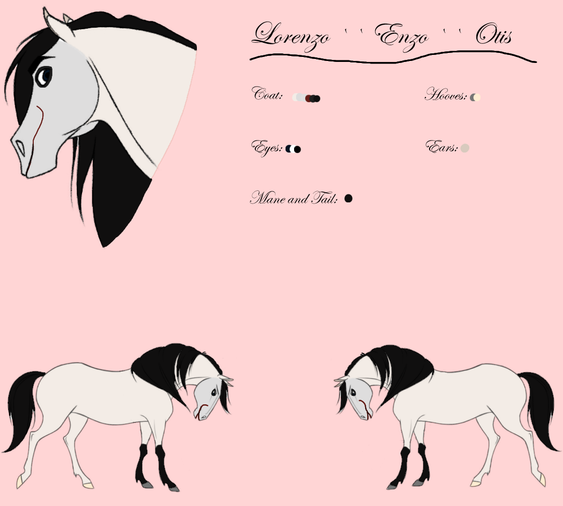 Lorenzo - Reference Sheet - ibisPaint