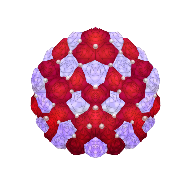 Red and White cloth rose - ibisPaint