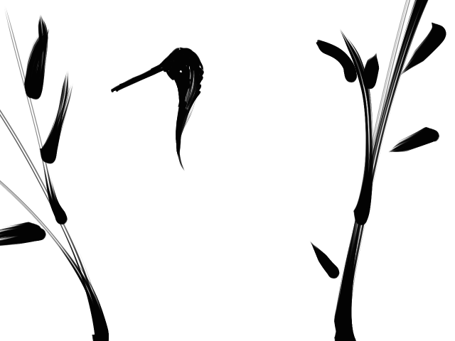 Stork test animation - ibisPaint
