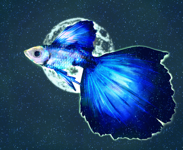 Moon dancer - ibisPaint