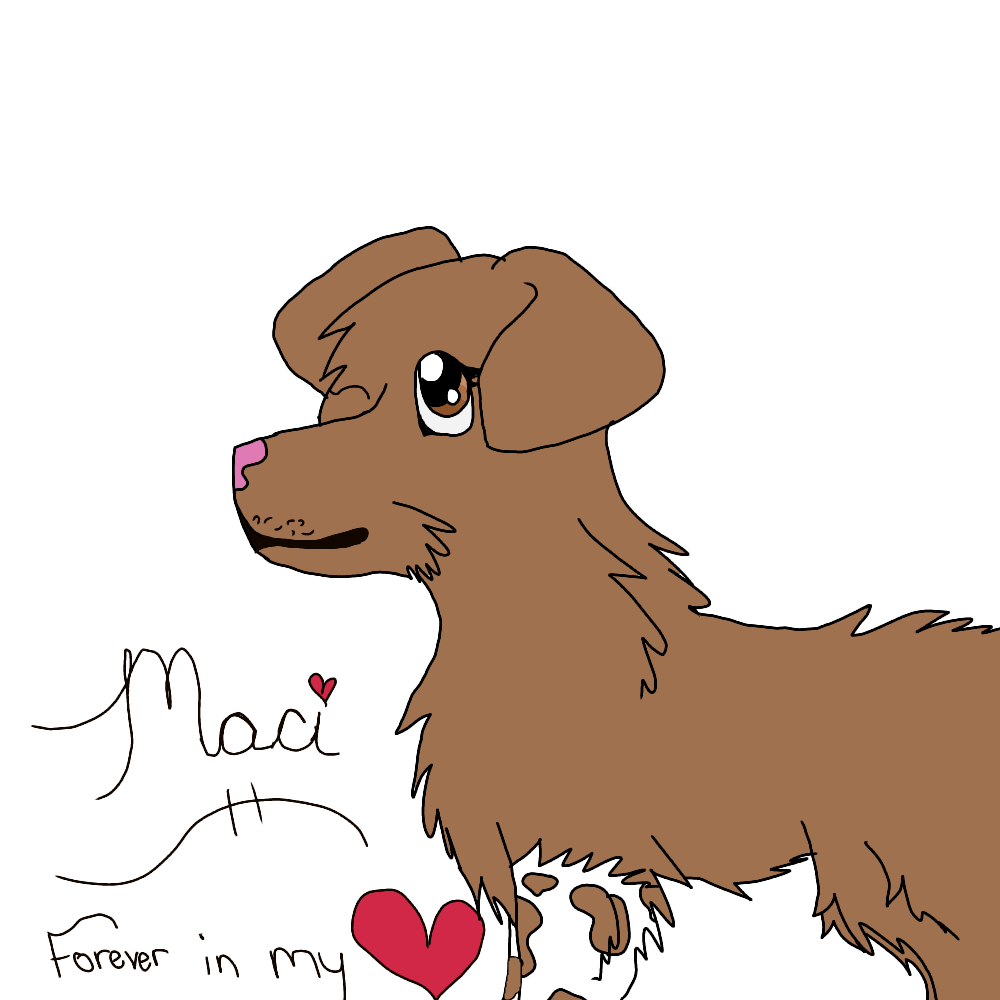 Maci is Forever in my No matter What - ibisPaint