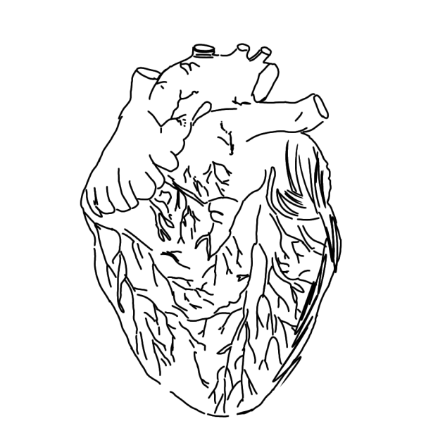 heart - ibisPaint