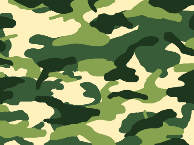 CAMOUFLAGE - ibisPaint