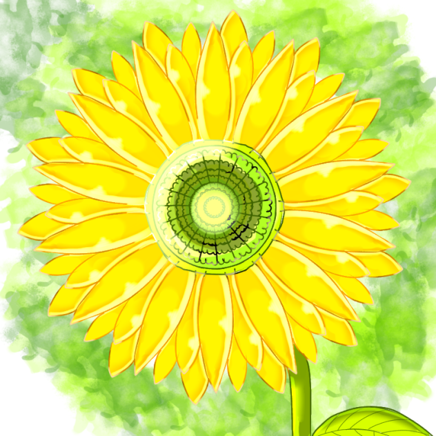 Sun flower - ibisPaint