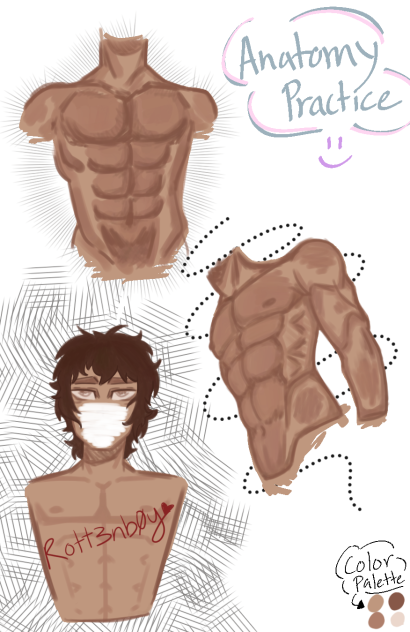 Anatomy Practice Sketch - ibisPaint