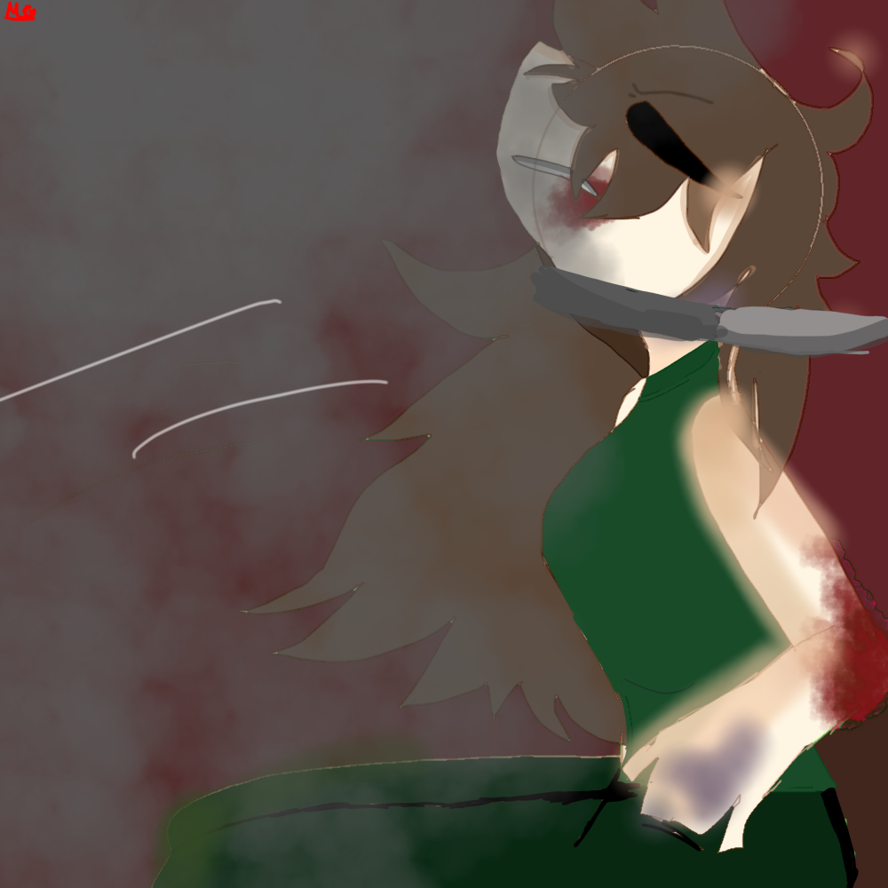 She won’t stop defending for her Country - ibisPaint