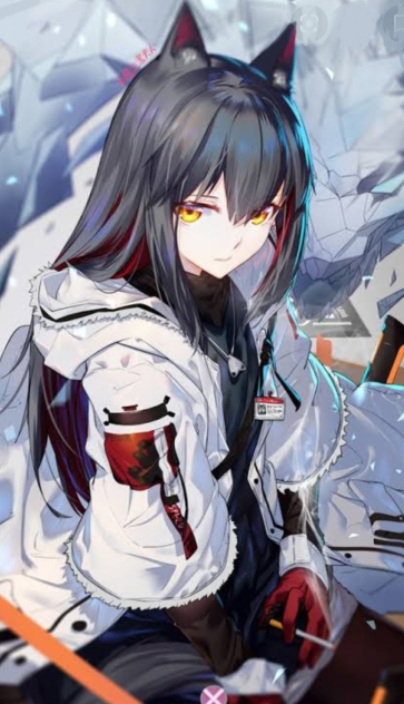 Wolf Girl - ibisPaint