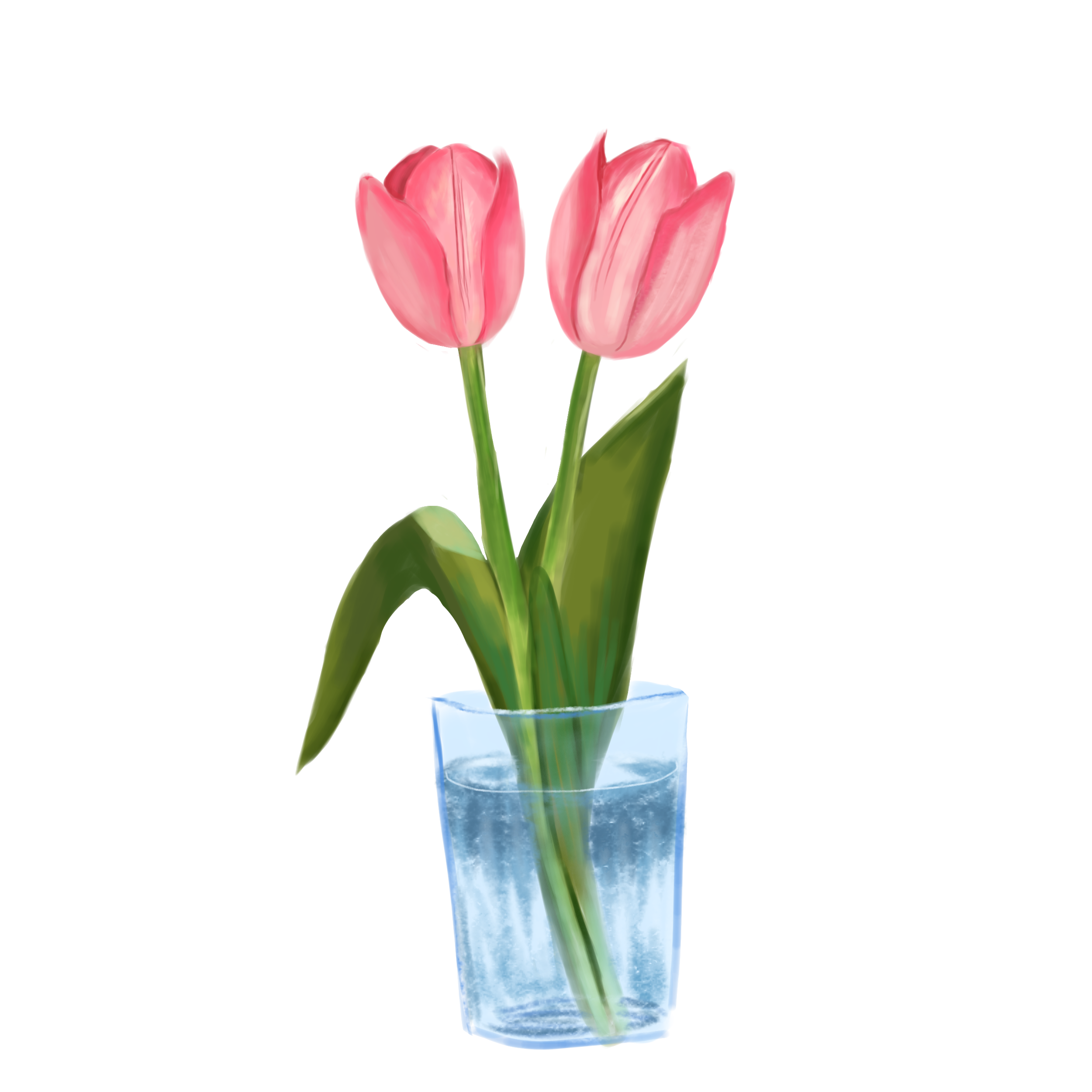 Tulips - ibisPaint