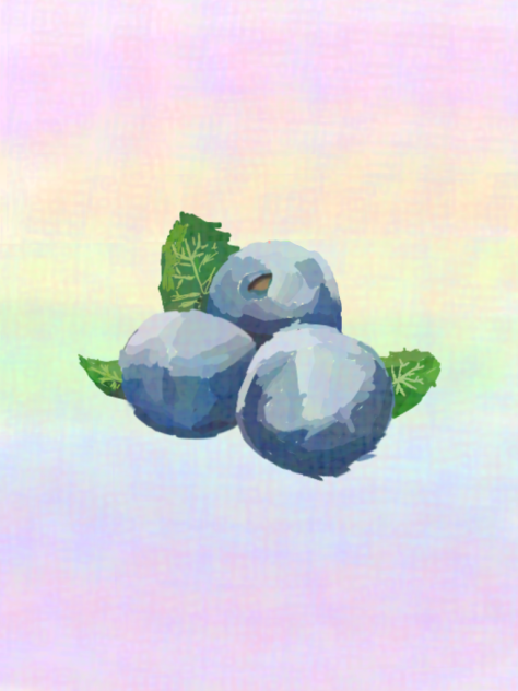 Blue Berry - ibisPaint