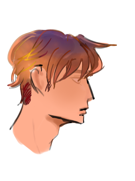 Another profile practice - ibisPaint