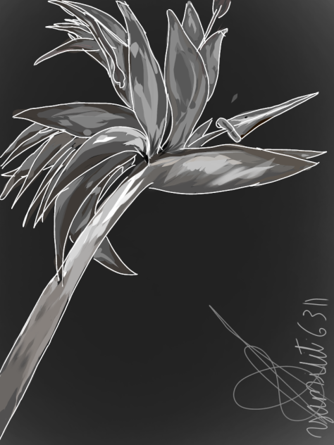 23 sin título - ibisPaint