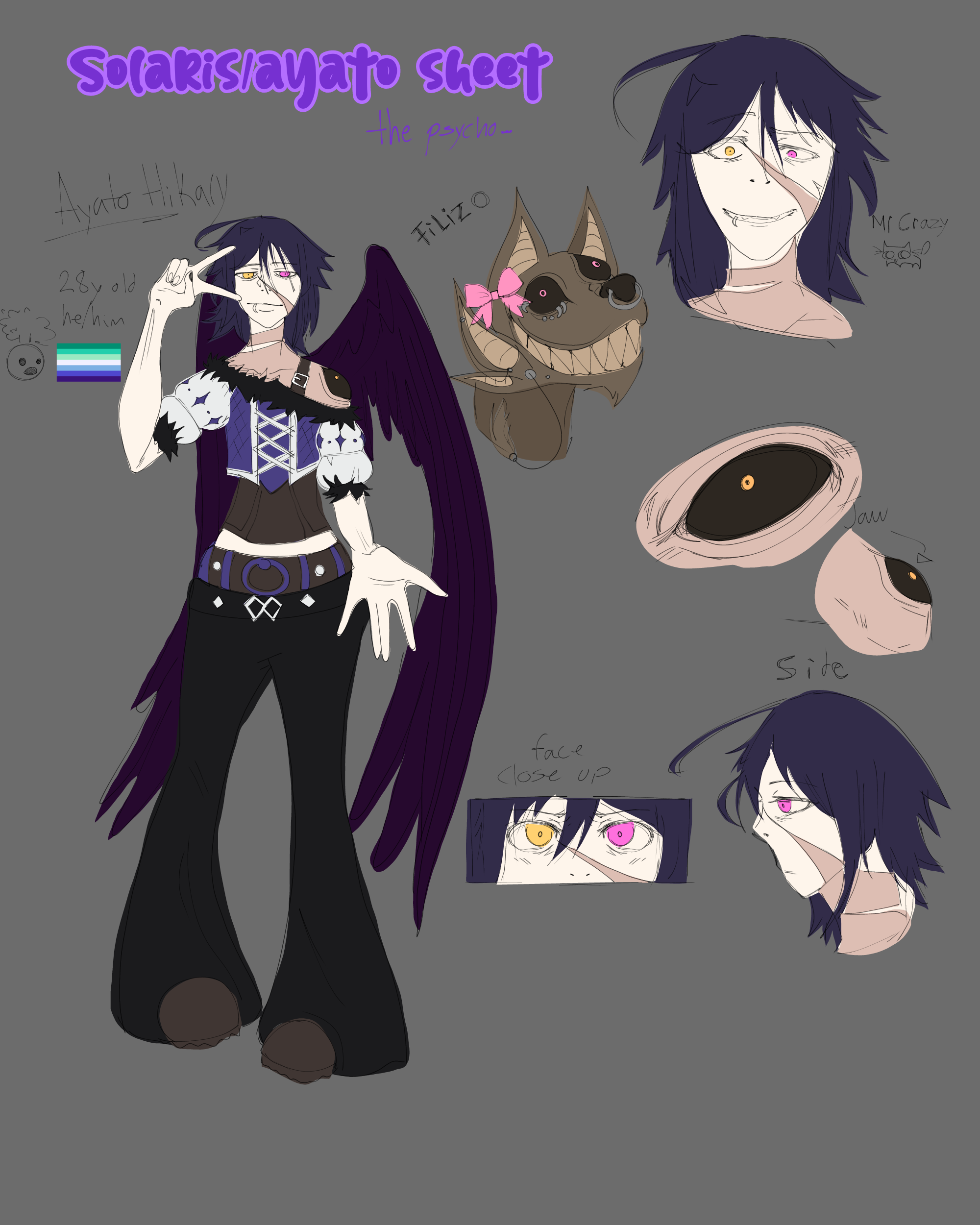 Ayato Hiiary sheet ( AKA SOLARIS) - ibisPaint