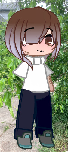 Edit of disabled OC - ibisPaint