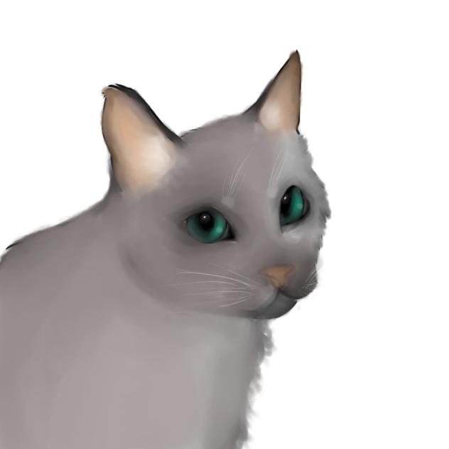 kitty-cat - ibisPaint