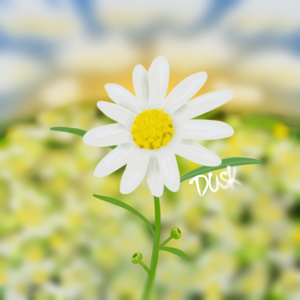 Untitled507 - ibisPaint