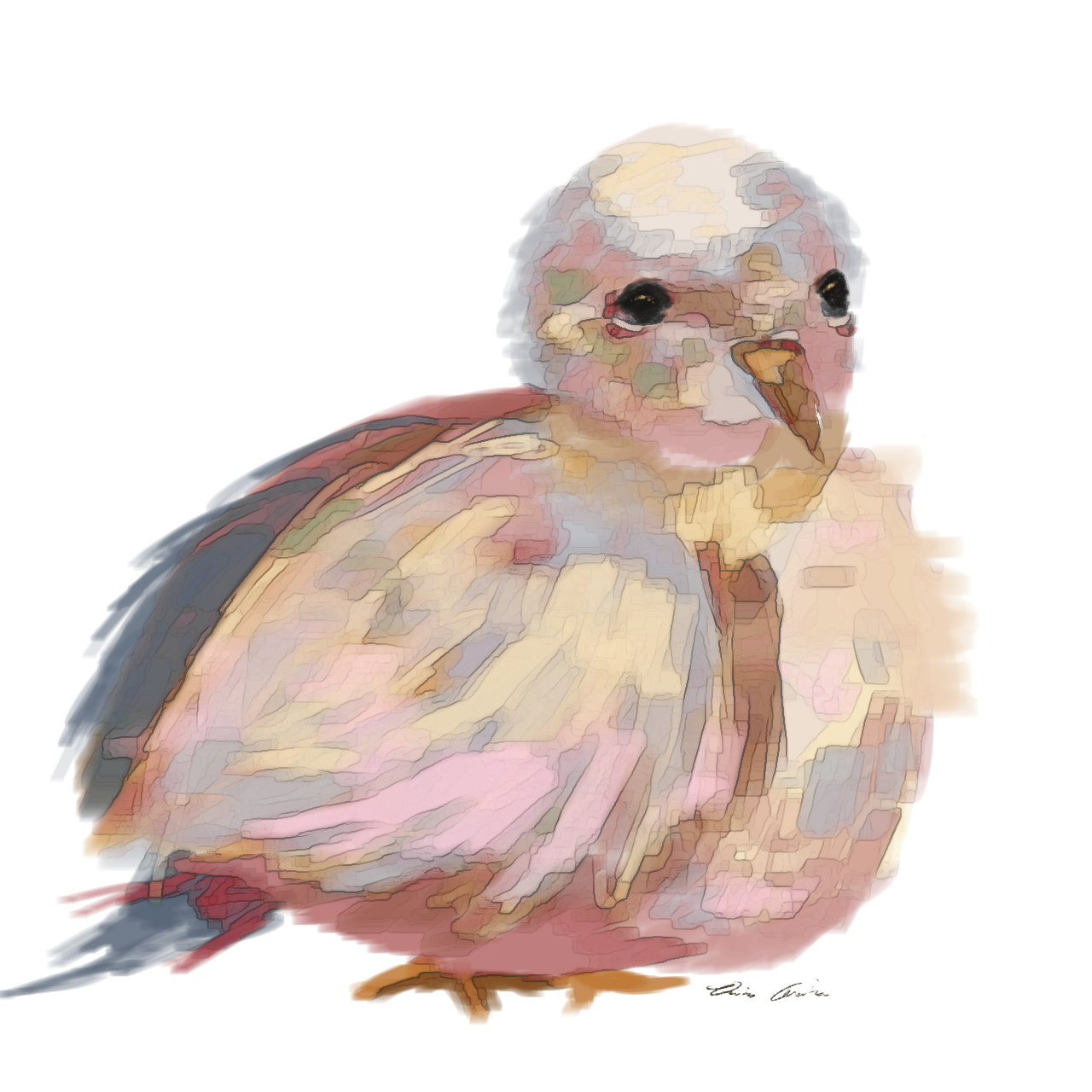 Watercolor Bird - ibisPaint