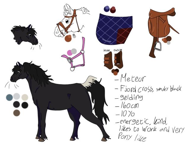 updated Meteor refsheet - ibisPaint