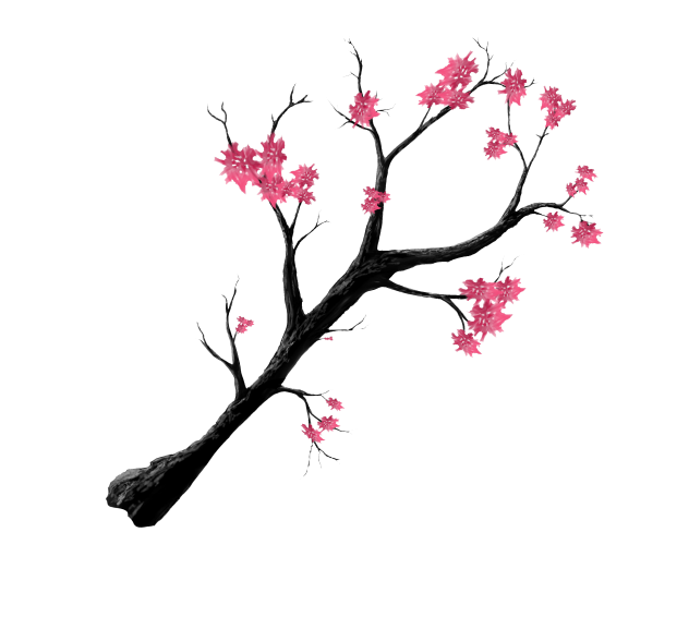 branches of cherry blossom - ibisPaint