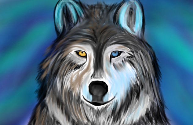 wolf - ibisPaint