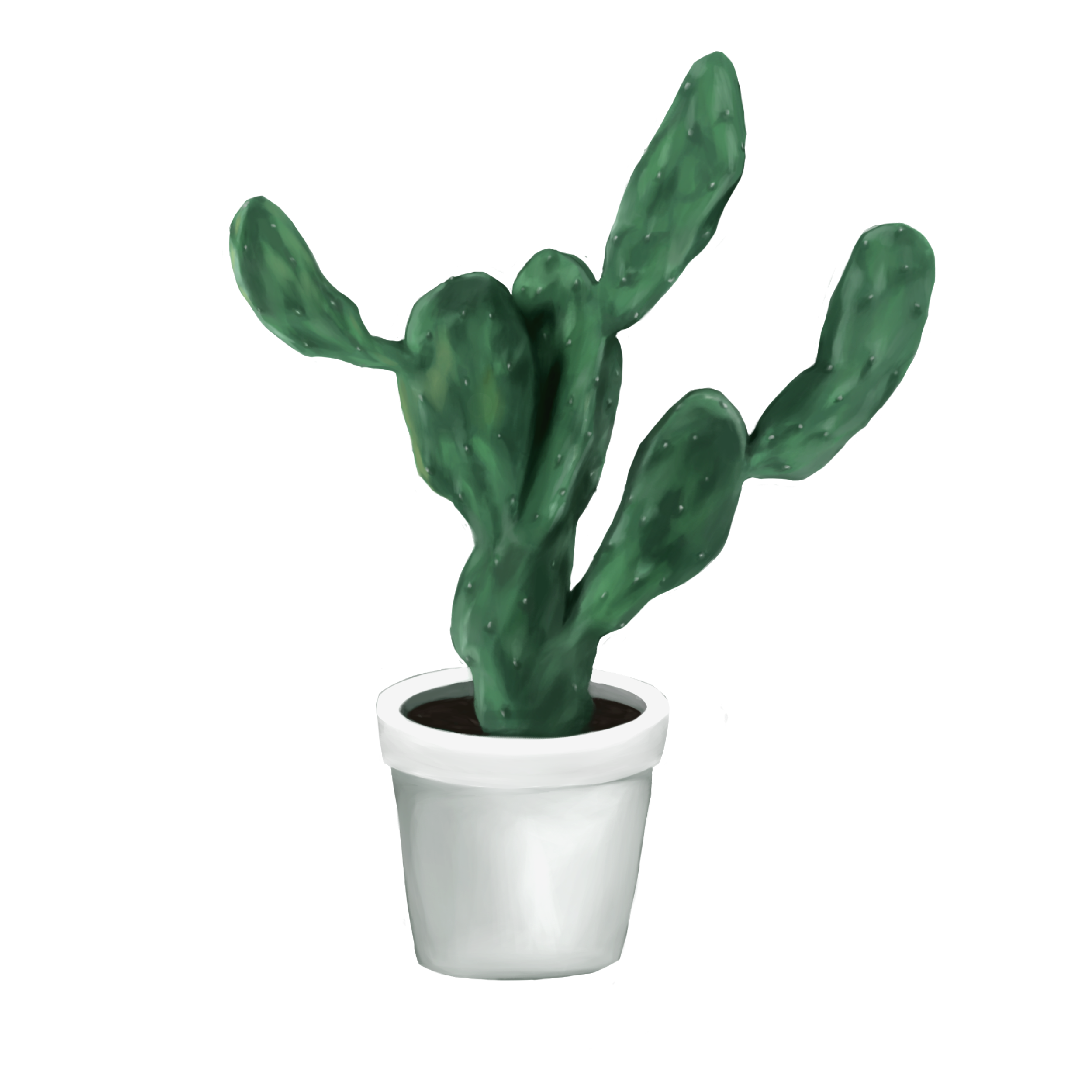 cactus pot - ibisPaint