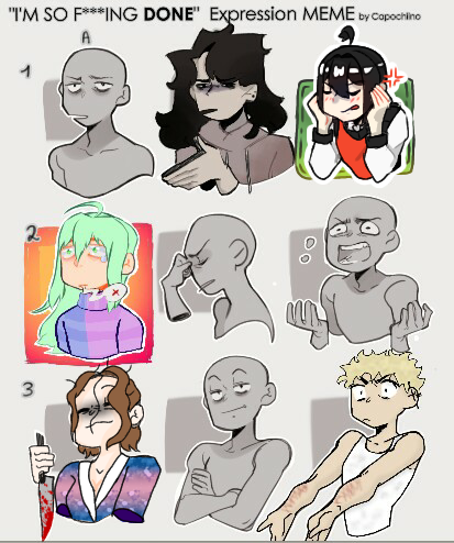 an expression meme...yaaaayy - ibisPaint