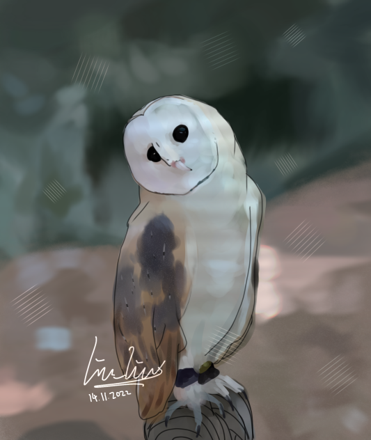 Untitled253 - ibisPaint