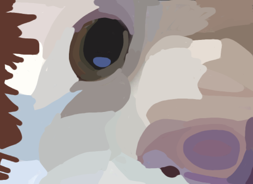 practicing coloring over 1 of my cattoz - ibisPaint