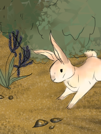 (Rabbit or bunny) - ibisPaint