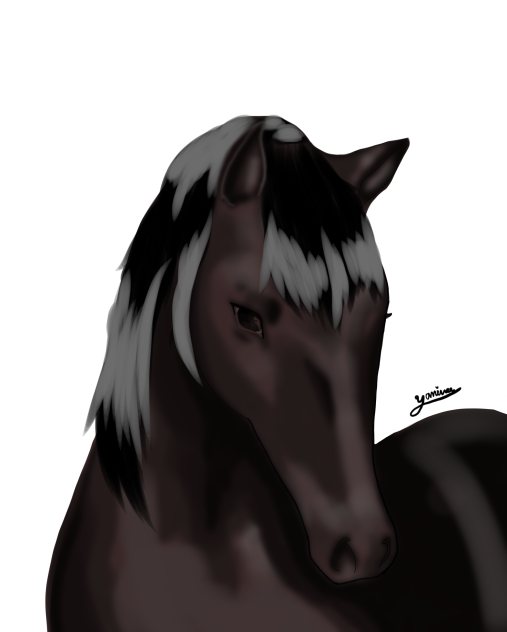 Horse - ibisPaint
