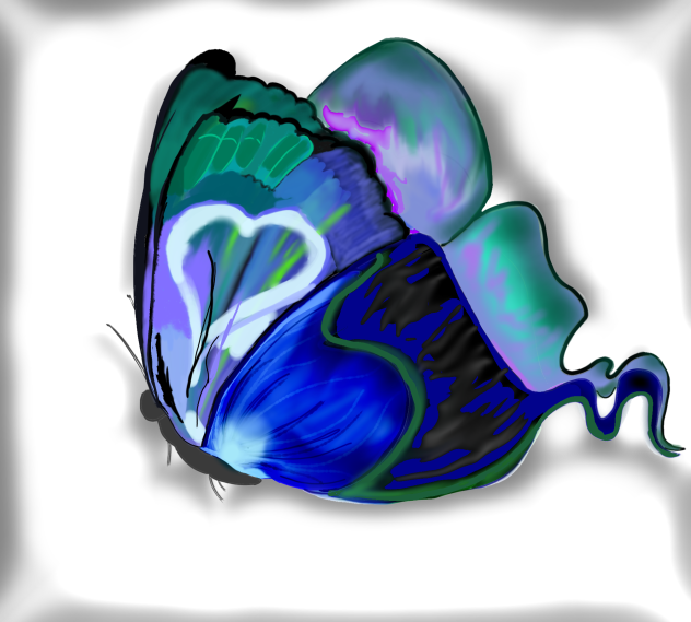 butterfly - ibisPaint