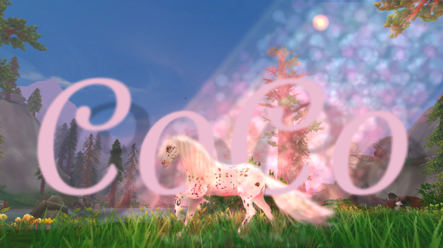 Fond Sso discord - ibisPaint