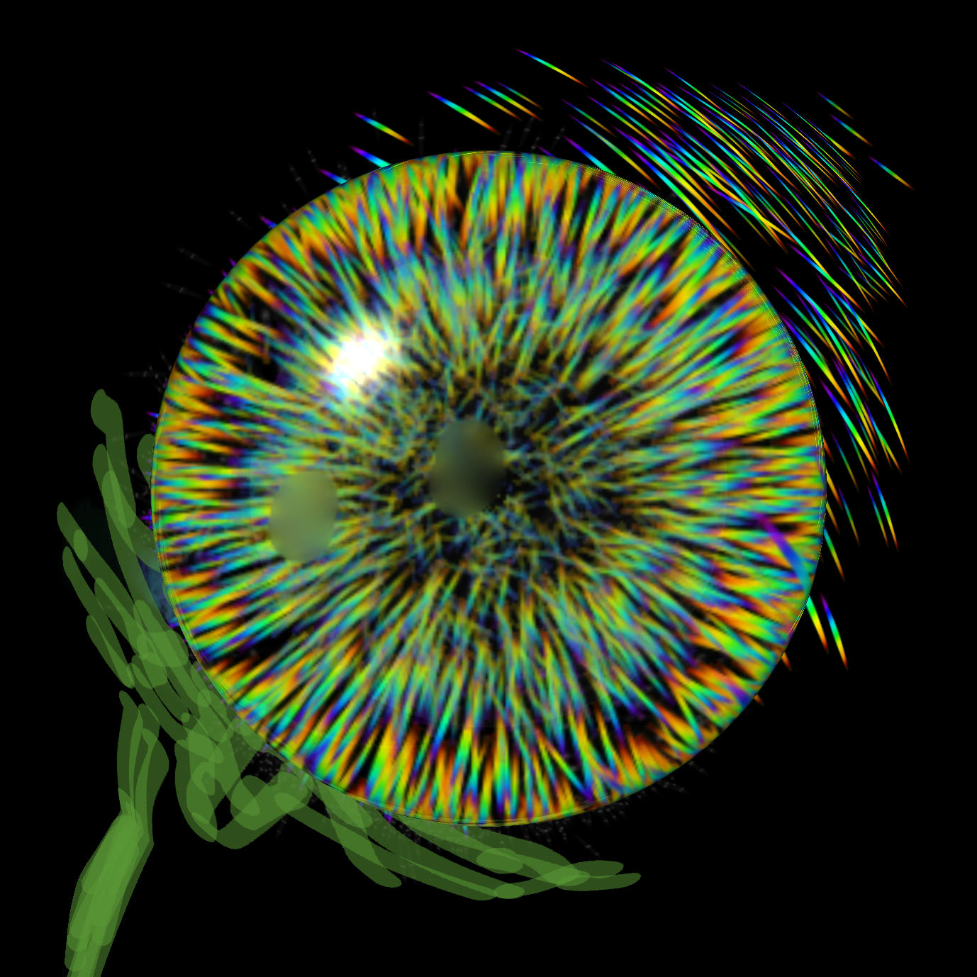 dandelion(fisheye lens)(plus sphere lens - ibisPaint