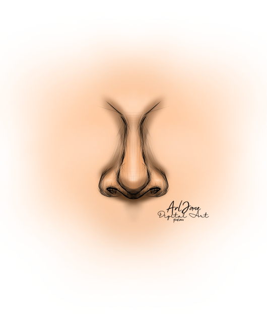 Nose - ibisPaint