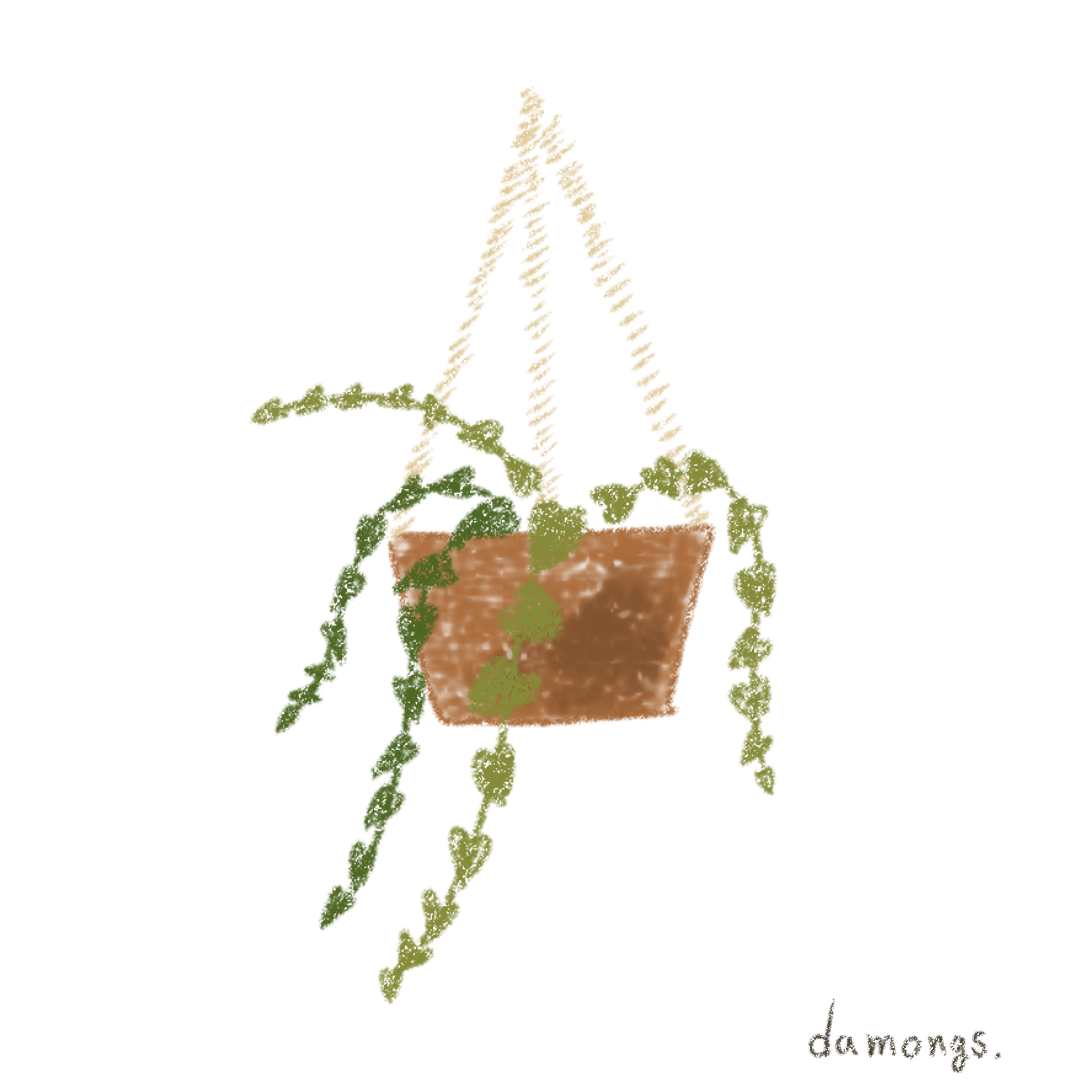 hanging plants - ibisPaint