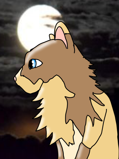 Warrior cat - ibisPaint