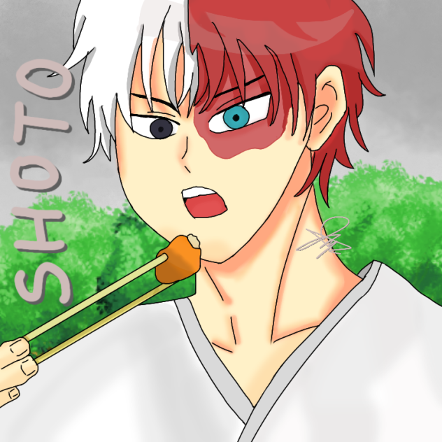 Todoroki - ibisPaint