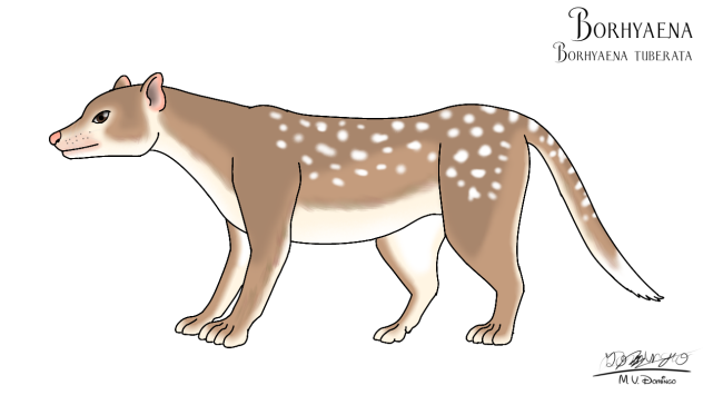 Borhyaena tuberata - ibisPaint