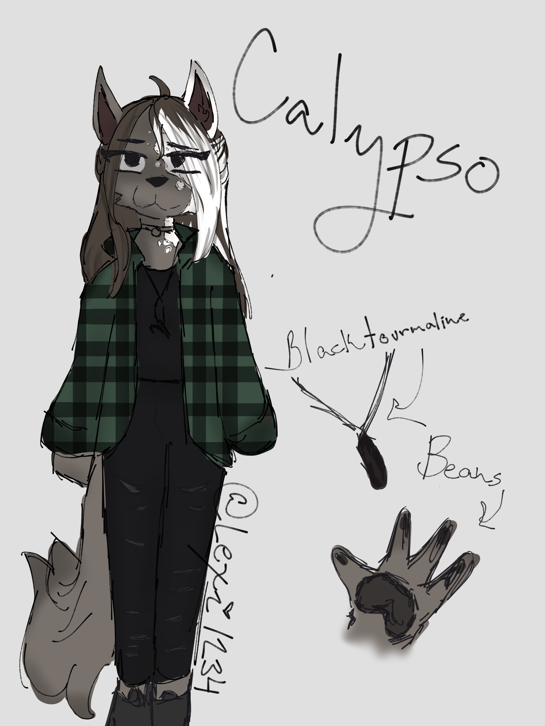 Calypso ref. - ibisPaint