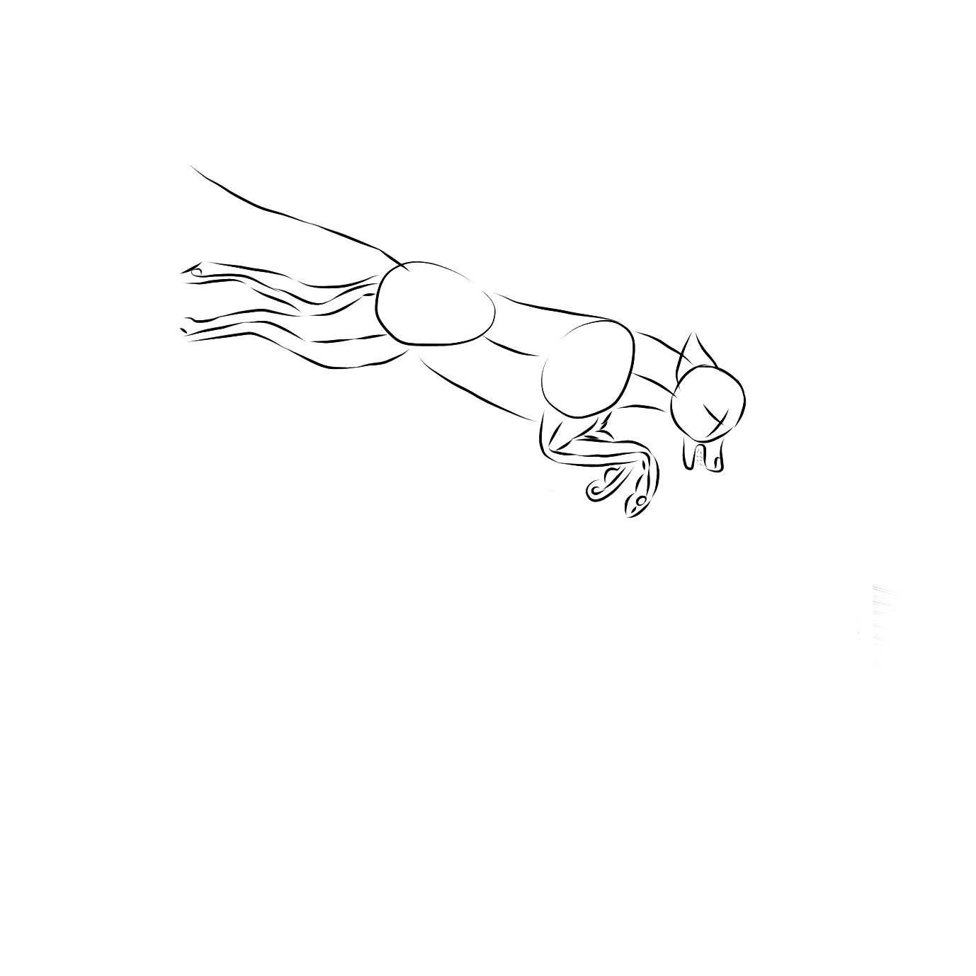 Jumping cat (free draw for you) - ibisPaint