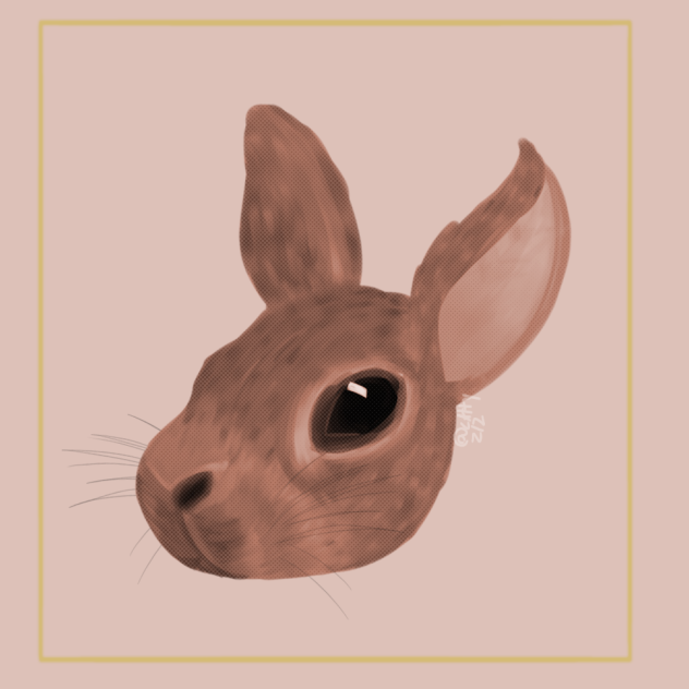 Rabbit! 🐇 - ibisPaint
