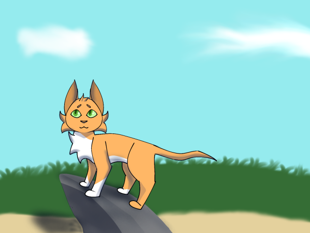 Orangefur cat oc drawing - ibisPaint
